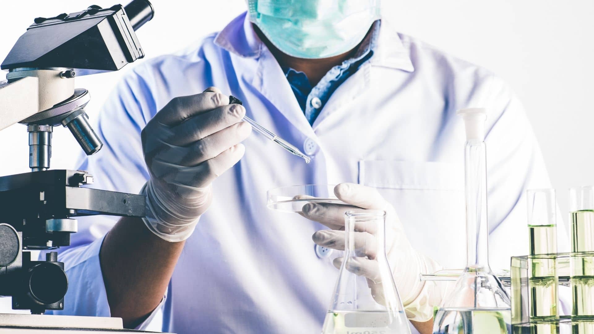 Microbiote intestinal : tout savoir sur la flore intestinale | Blog Nahibu