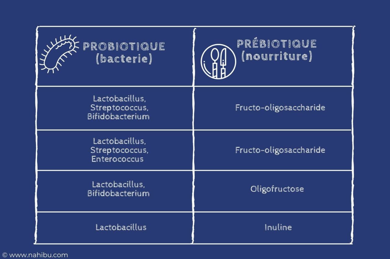 Quelle est la différence entre probiotique et prébiotique